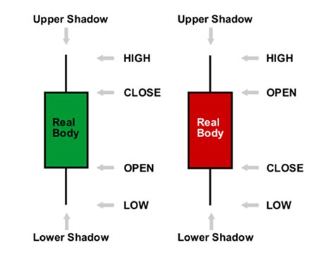3 Types Of Charts In Forex And How To Read Them Fxpipsguru