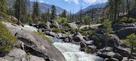 Pinecrest Lake To Cleos Bath Trail California 7 Reviews Map