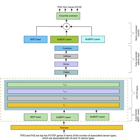 A Schematic Representation Of Ner Task Each Of 3 Different Bert Download Scientific Diagram