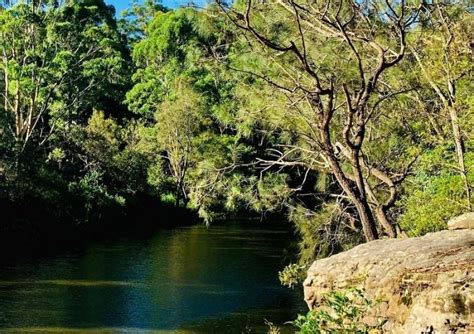 Wolli Creek Park Expands Into 45 Hectares Of Glorious Natural Ellaslist