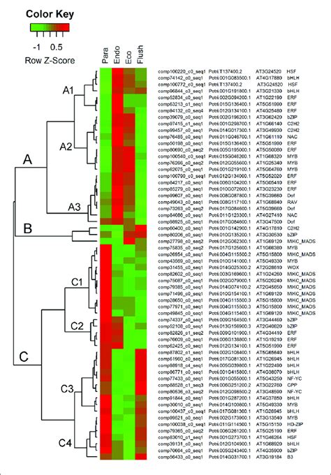 Expression Profile Cluster Analysis Of The Transcription Factors With