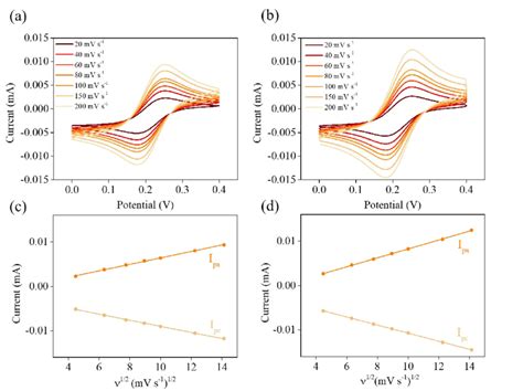 Cv Curves Of A Bare Au Electrode And B Nanostructured Gold Modified Download Scientific