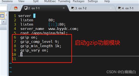 nginx详解 第三部分 nginx高级配置（附配置实例） nginx echo csdn博客