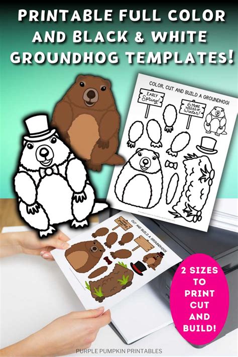 Printable Build A Groundhog Template Fun Groundhog Day Craft