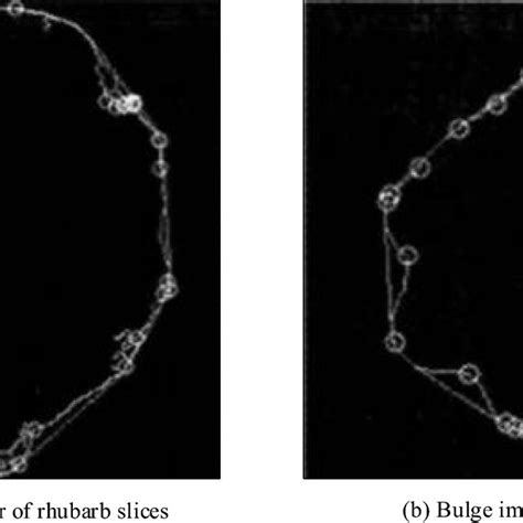 Schematic Diagram Of Contour Detection Results Of Huangyin Slices