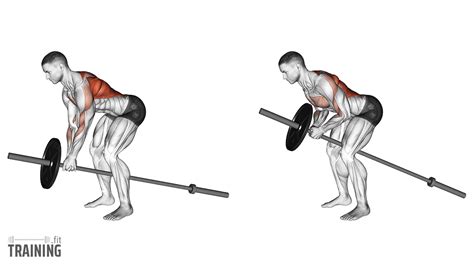 T Bar Row Instructions Information And Alternatives Trainingfit