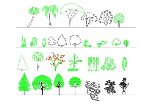 Garden Trees And Plants CAD Blocks