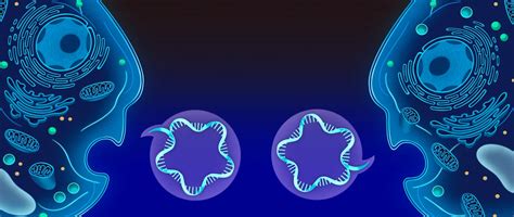 How Embeddings Encode What Words Mean Sort Of Quanta Magazine