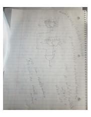 Homework EEE Pdf Course Hero