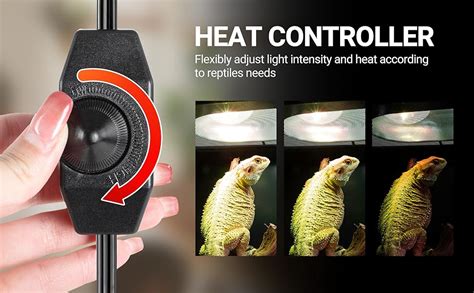 Amazon.com : REPTI ZOO Dual Reptile Light Fixture with Dimming, Deep Dome Reptile Heat Lamp ...
