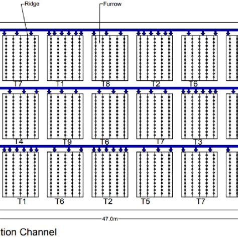 layout of experimental plots t treatment r replication download
