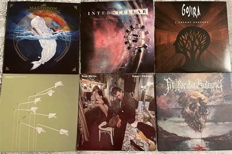 my wife let me go nuts at my local record store for my birthday i m