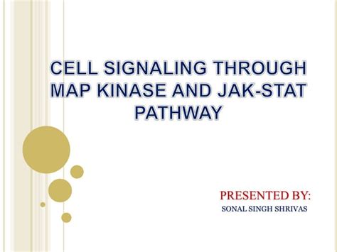 Cell Signalling Through Map Kinase And Jak Stat Pathway Pptx
