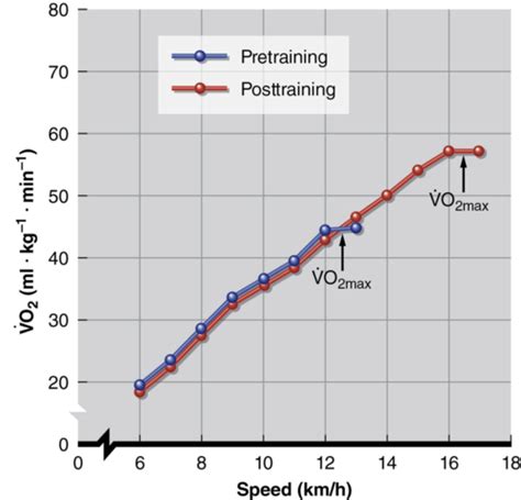 Exercise Physiology Test 3 Flashcards Quizlet