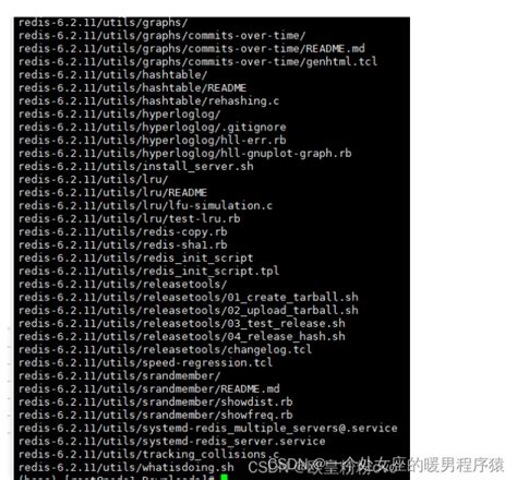 Linux安装redis教程（超级详细，新手必看） Csdn博客