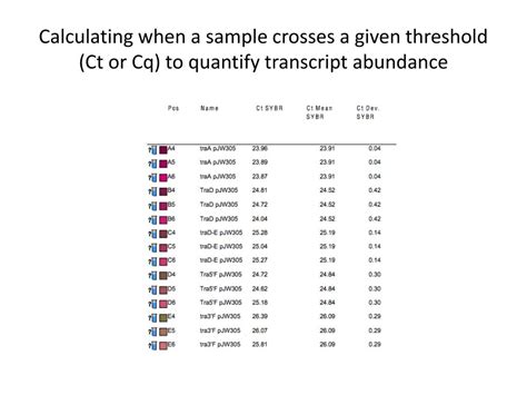 PPT Measuring RNA Transcript Levels PowerPoint Presentation Free Download ID 5185970