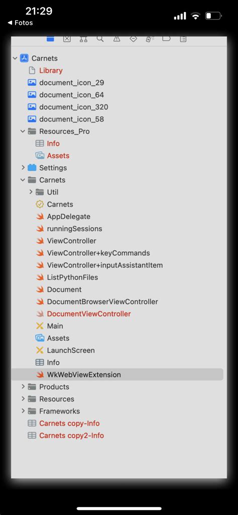 can t run the project · issue 225 · holzschu carnets · github