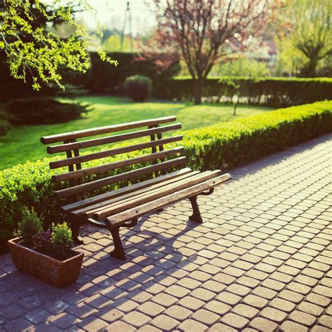 A Memory Tree Go With Grace