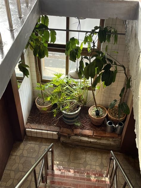 동인천 넓은 카페 개항로 브라운핸즈 네이버 블로그