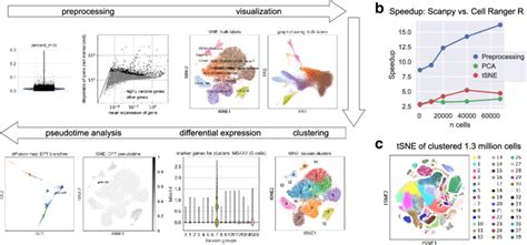 A Scanpys Analysis Features We Use The Example Of 68579 Peripheral Download Scientific