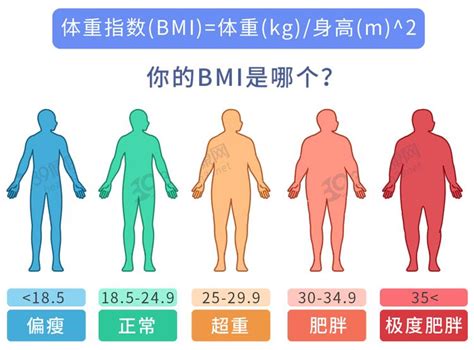 胖死是真的，这13种癌症最喜欢找胖子 癌症 肥胖者 体重 新浪新闻