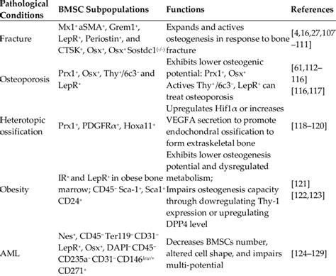 Functional Heterogeneity Of Bmsc Subpopulations In Pathology