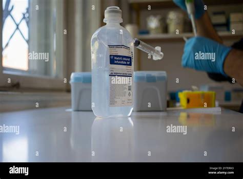 Belgrade Serbia Sep 21 2024 A Scientist Processes Blood Samples In