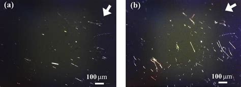 Angular Dependence Of Visibility On The Illumination Direction Bold Download Scientific