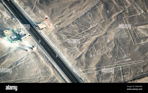 Albero Nazca Antico Geoglifico Misterioso Linee Nazca Visto Dallaereo