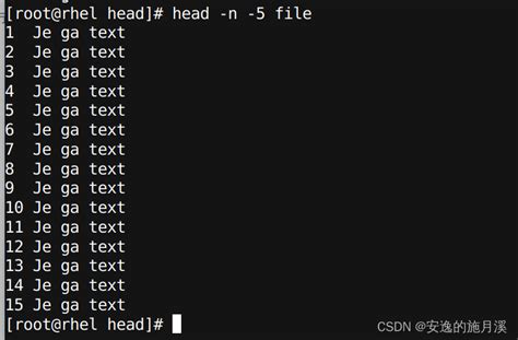 linuxhead的用法 输出文件开头的内容 head怎么输出 CSDN博客