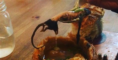 Emotional Vancouver Restaurant Owner Responds To Dead Rat In Chowder Food And Drink Emotional Vancouver Restaurant Owner Responds To Dead Rat In Chowder Food And Drink