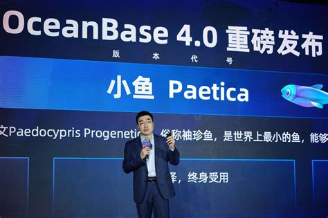 国产数据库oceanbase实现一大突破 迈入40时代 哔哩哔哩