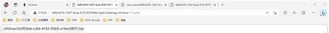 ctf show web1 20 csdn博客