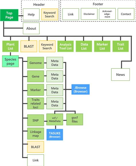 Systematic Framework Diagram Of Plant Garden Download Scientific Diagram