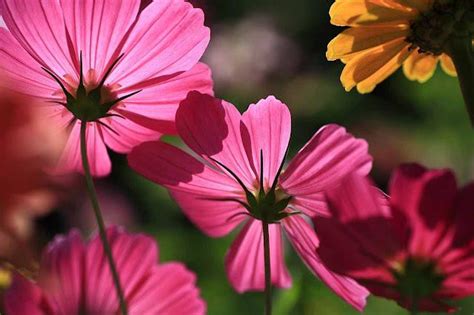 How To Create Mood In Photography Capture Canvas Blog Pralay Chatterjee Posted On The Topic