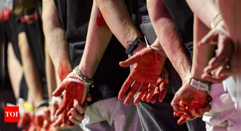 Israel Militarys Mosquito Protocol A Battlefield Strategy In Gaza