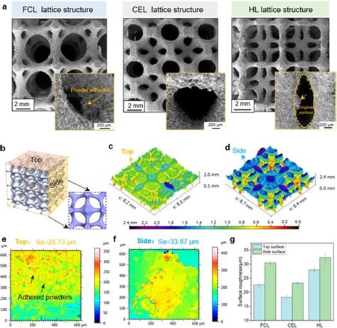 Full Article Topological Optimisation And Laser Additive Manufacturing Of Force Direction