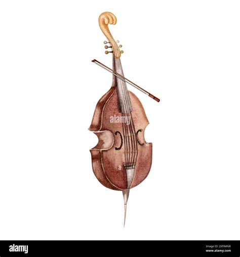 Vintage Double Bass Musical Instrument Classical Viola Da Gamba With A String Bow Clip Art
