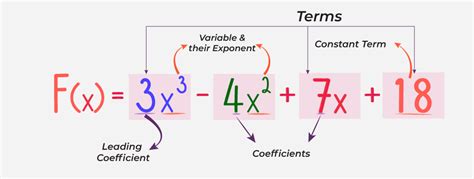 polynomial functions geeksforgeeks