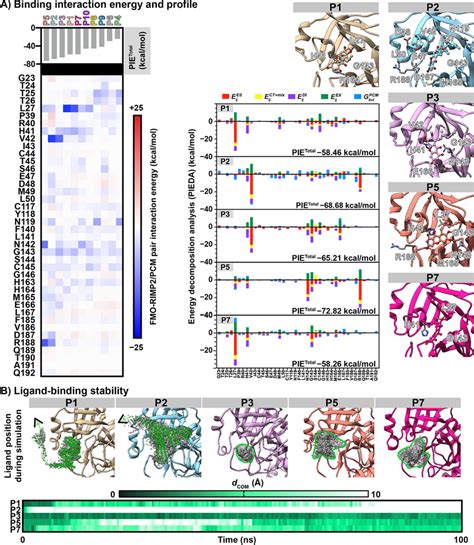 A Fmo Rimp2 Pcm Interaction Energy Profile Of Rubraxanthone Binding