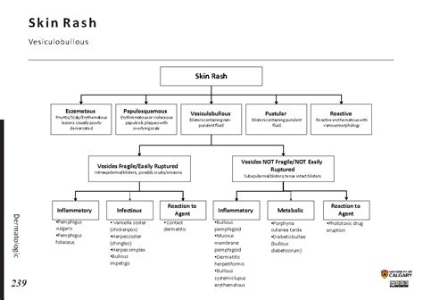 Skin Rash Vesiculobullous Blackbook Blackbook
