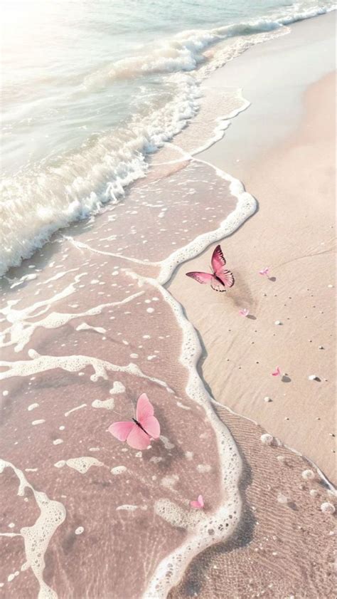 Butterfly And Sea Butterfly Background Butterfly Pink And White