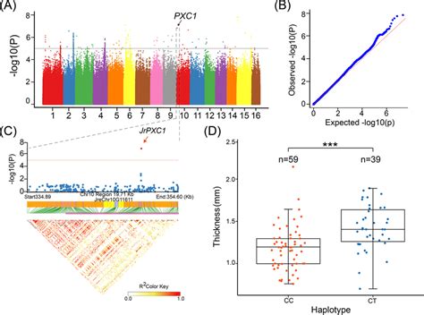 Gwas For Shell Thickness And Candidate Gene Analysis A Manhattan And B