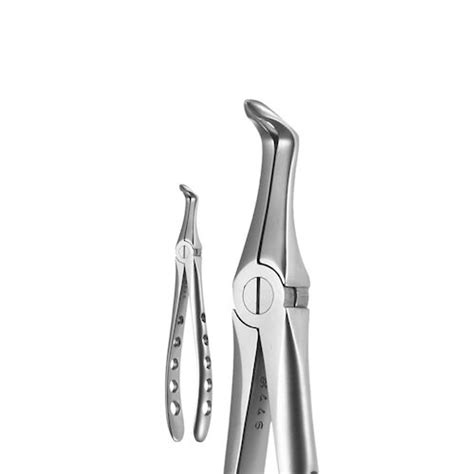 X Trac Forceps Universal Maxillary Root The Dental Market Us