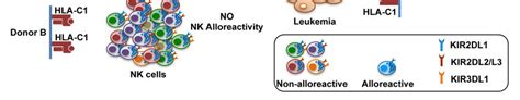 Donor Selection In Haploidentical Hematopoietic Stem Cell Download Scientific Diagram