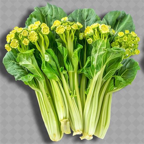 Premium Psd Png Yu Choy Cruciferous Vegetable Elongated Stems With