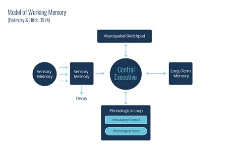Information Processing Theory Diagram Information Processing