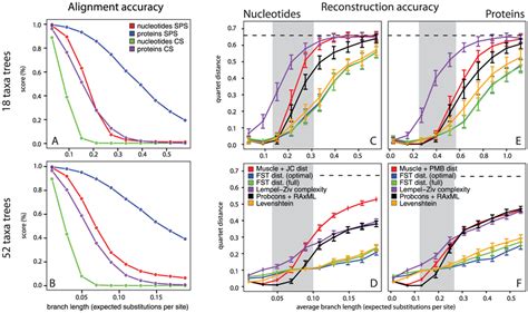 alignment accuracy results and reconstruction accuracy results on