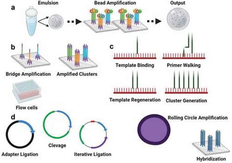 Full Article Advancements Of Next Generation Sequencing In The Field