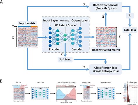 Detecting Subtle Transcriptomic Perturbations Induced By Lncrnas Knock Down In Single Cell